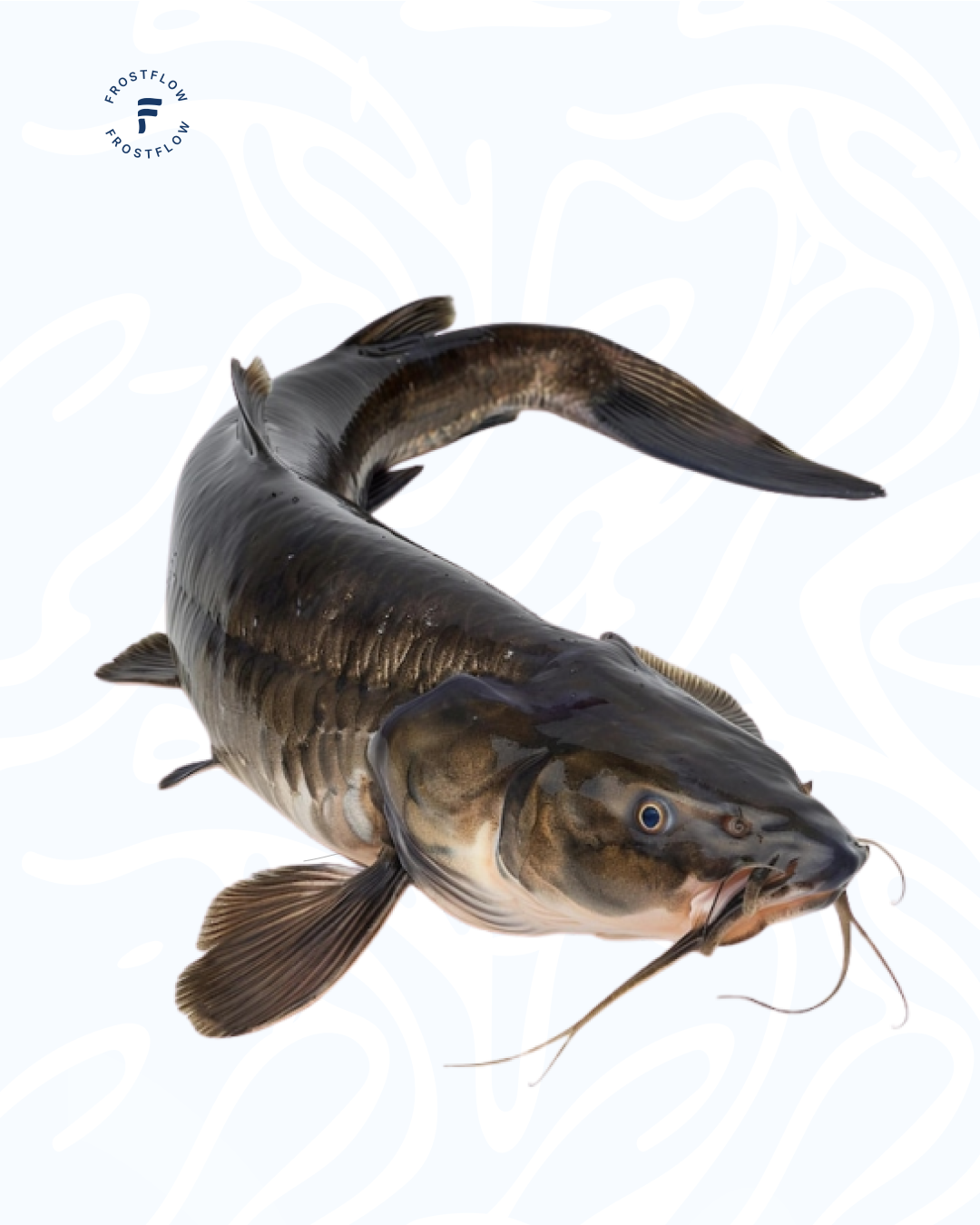 Frozen Catfish (Whole) – 5kg | Frostflow Foods